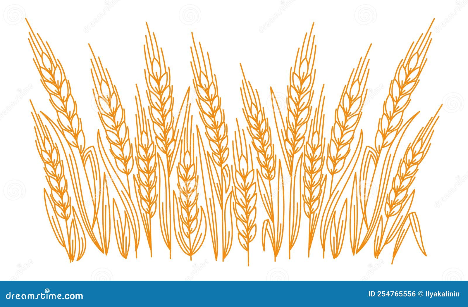 Cereal. Agriculture Wrapper. Wheat Ears. Vector Line. Editable Outline ...