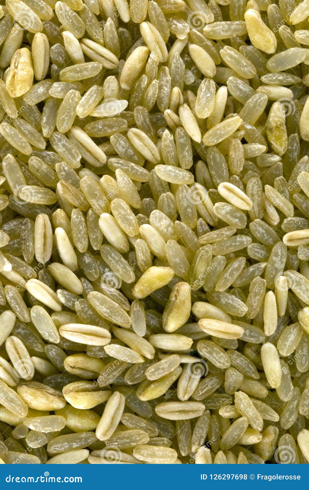 Cereal bio mix grains stock photo. Image of ears, grains - 126297698