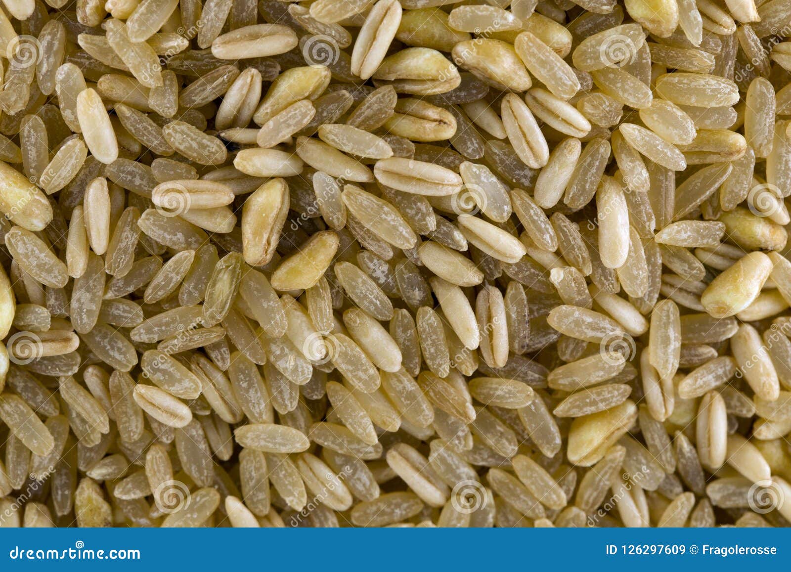 Cereal bio mix grains stock image. Image of meal, africa - 126297609