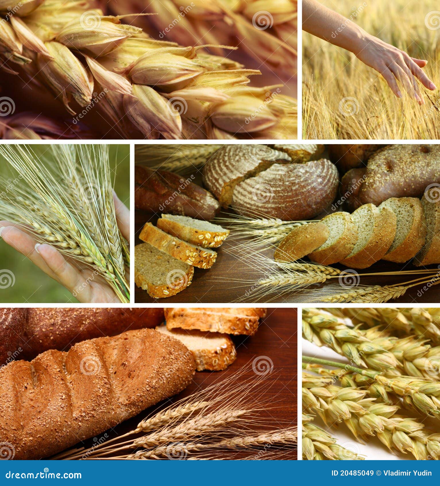 Cereal collage stock image. Image of grain, background - 20485049