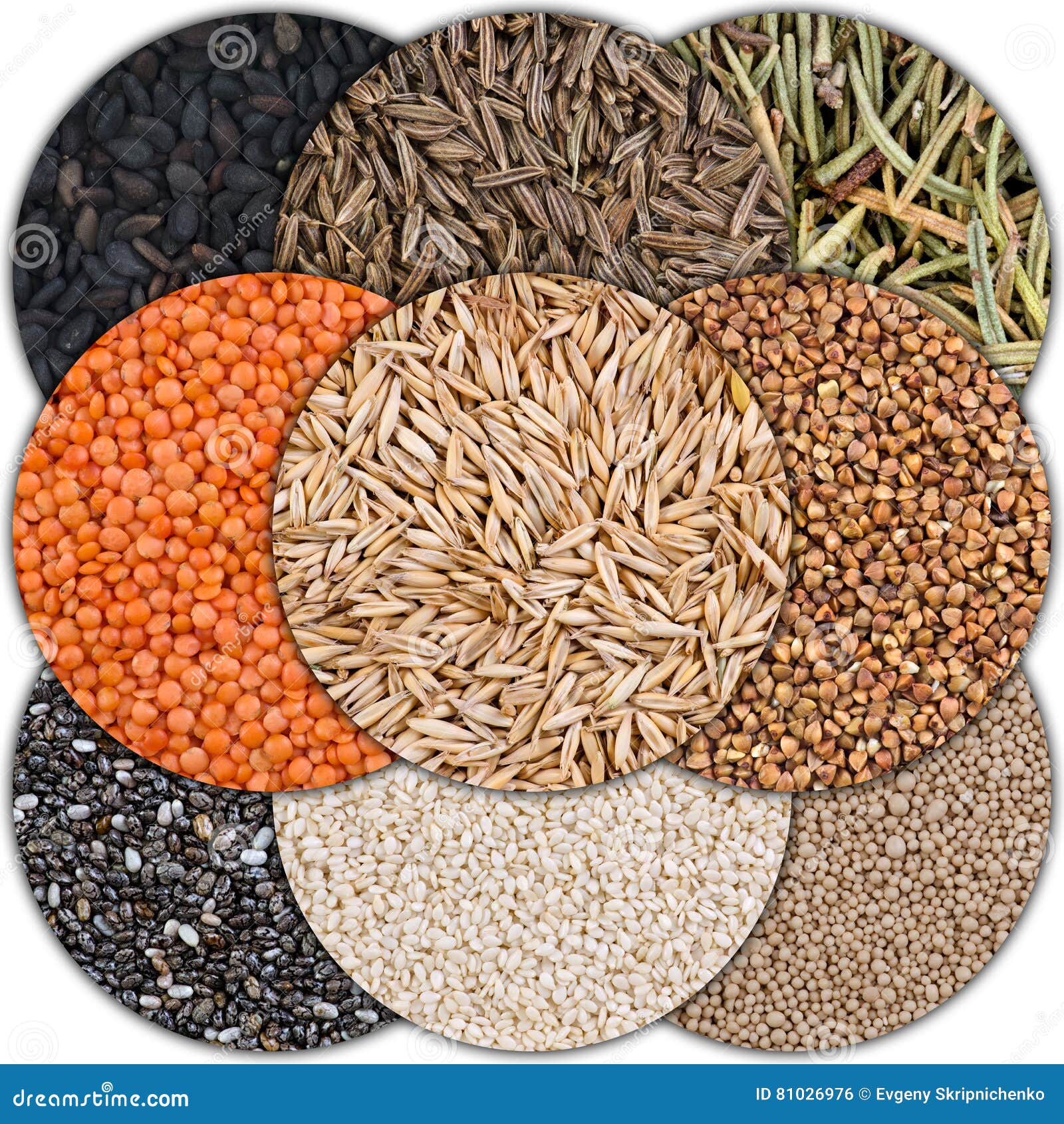 Cereal collage in circles stock photo. Image of organic - 81026976