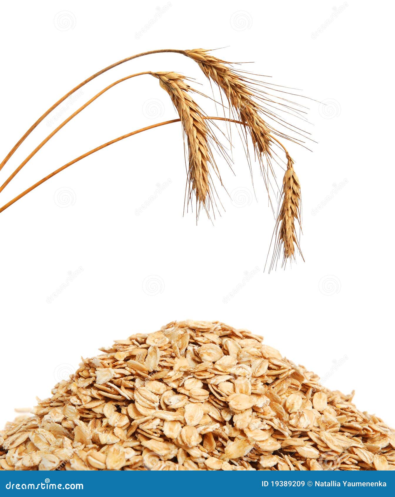 Cereal Flakes Of Four Grains: Oats, Wheat, Rye, Barley. Grain Flakes ...
