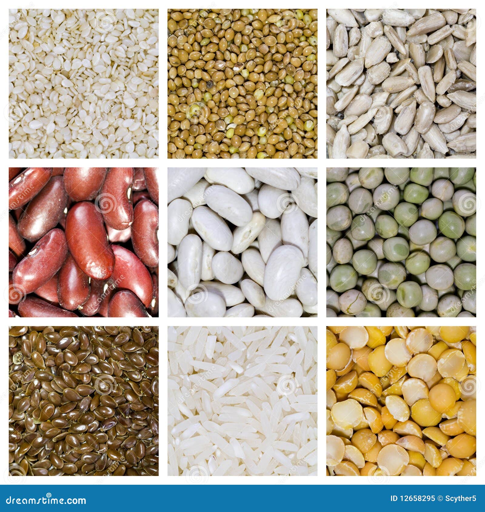 Cereal grains stock image. Image of shape, barley, pattern - 12658295