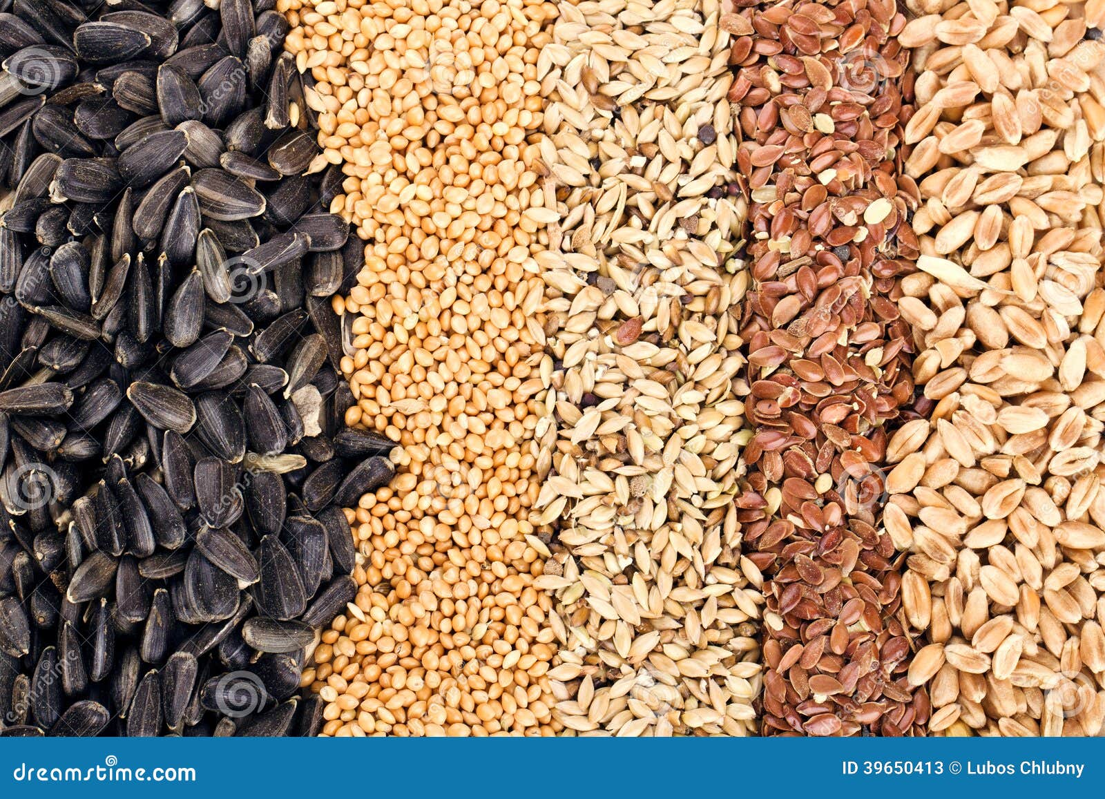 Cereal Grains and Seeds stock image. Image of crop, cereal - 39650413