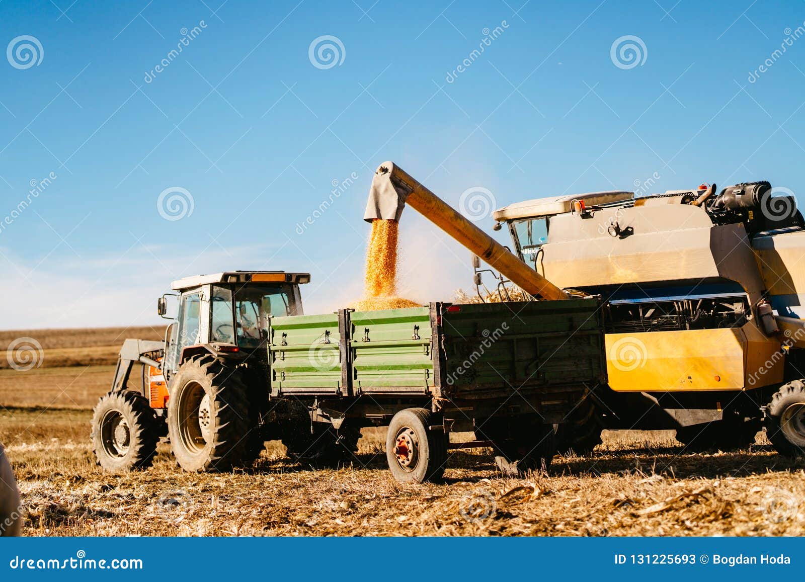 Cereal Harvester Using Tractor And Transporting Harvest Royalty-Free ...