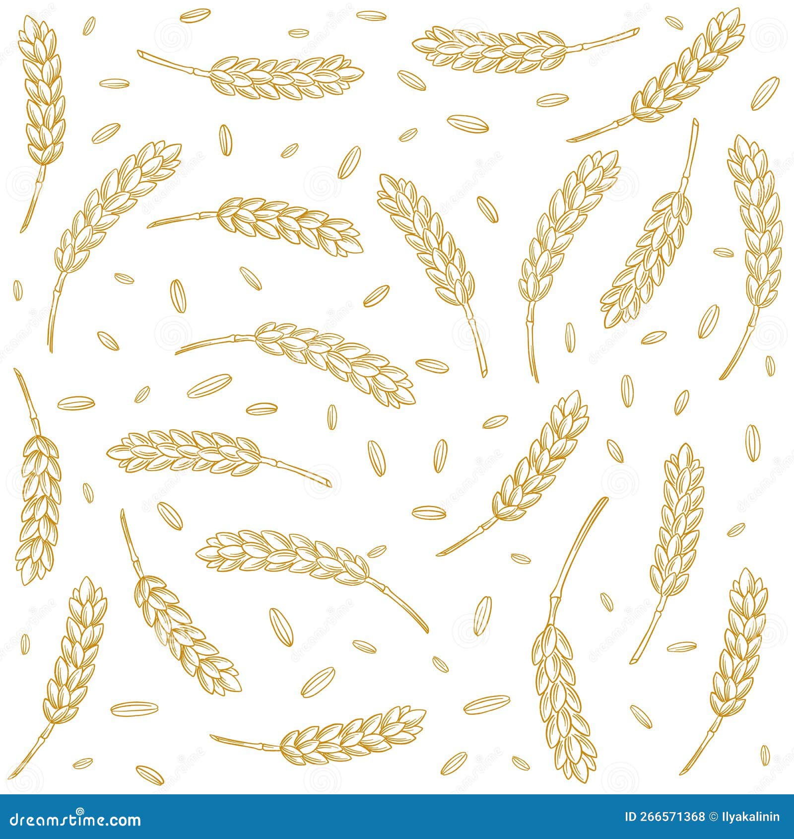 Grains Of Barley Skinned And With Peel. Vintage Monochrome Engraving ...