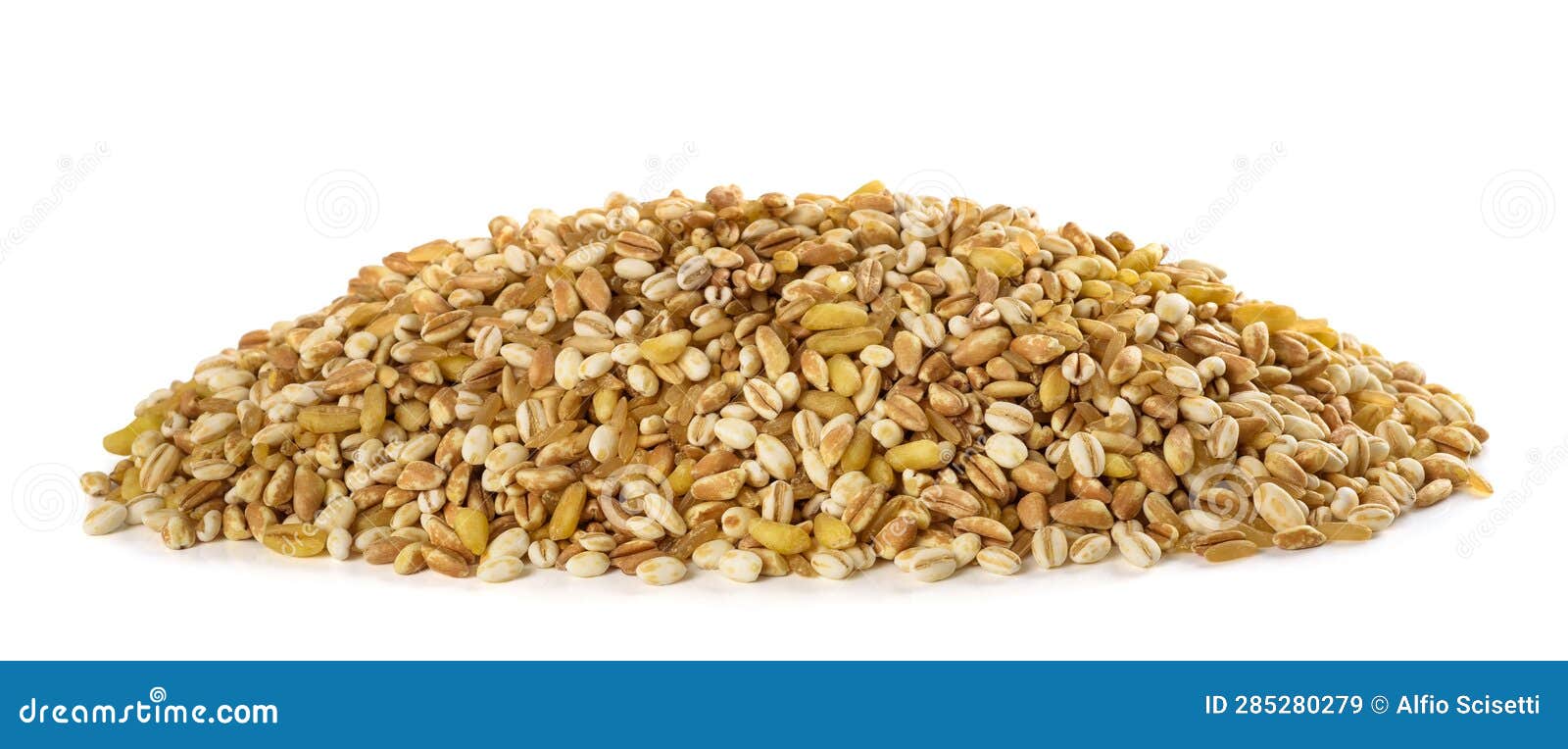 Pile Of Pearly White Swirl Sea Shells Royalty-Free Stock Image ...