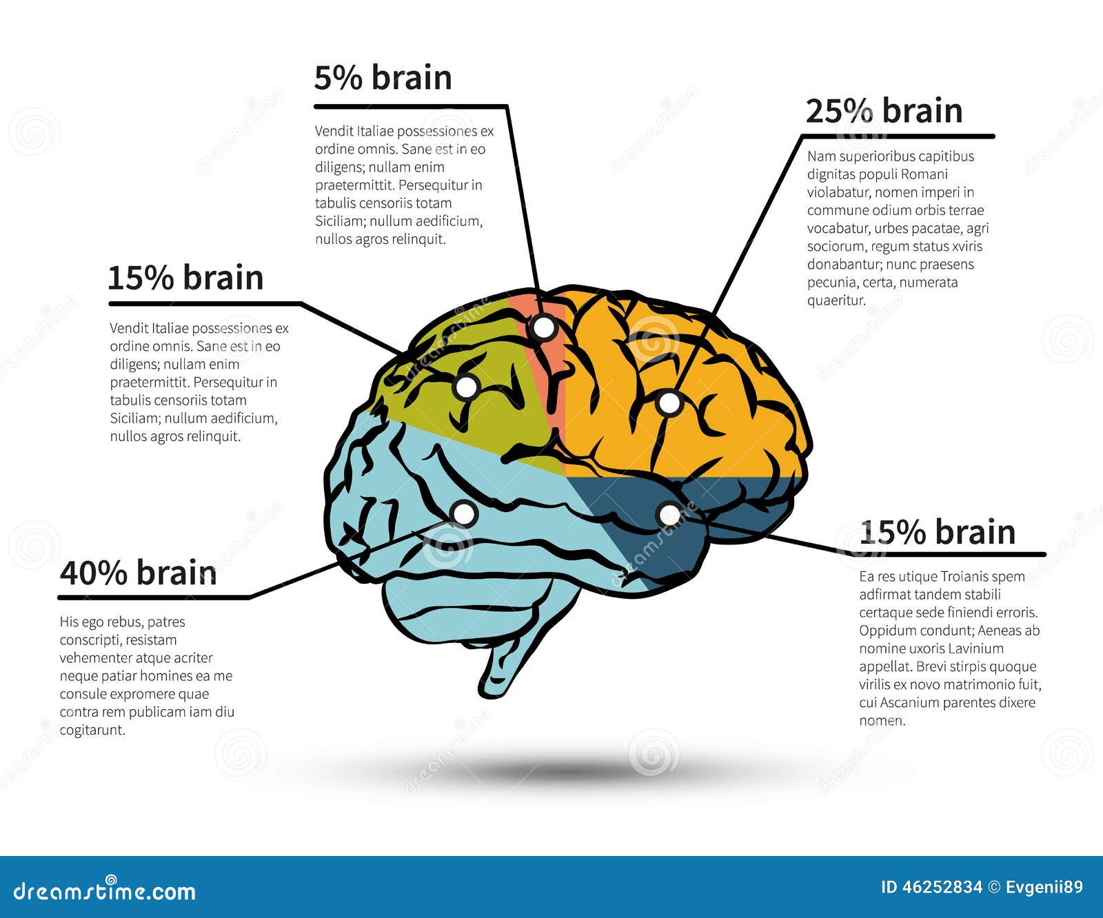 Cerebration Infographic Isolated Stock Vector - Illustration of ...