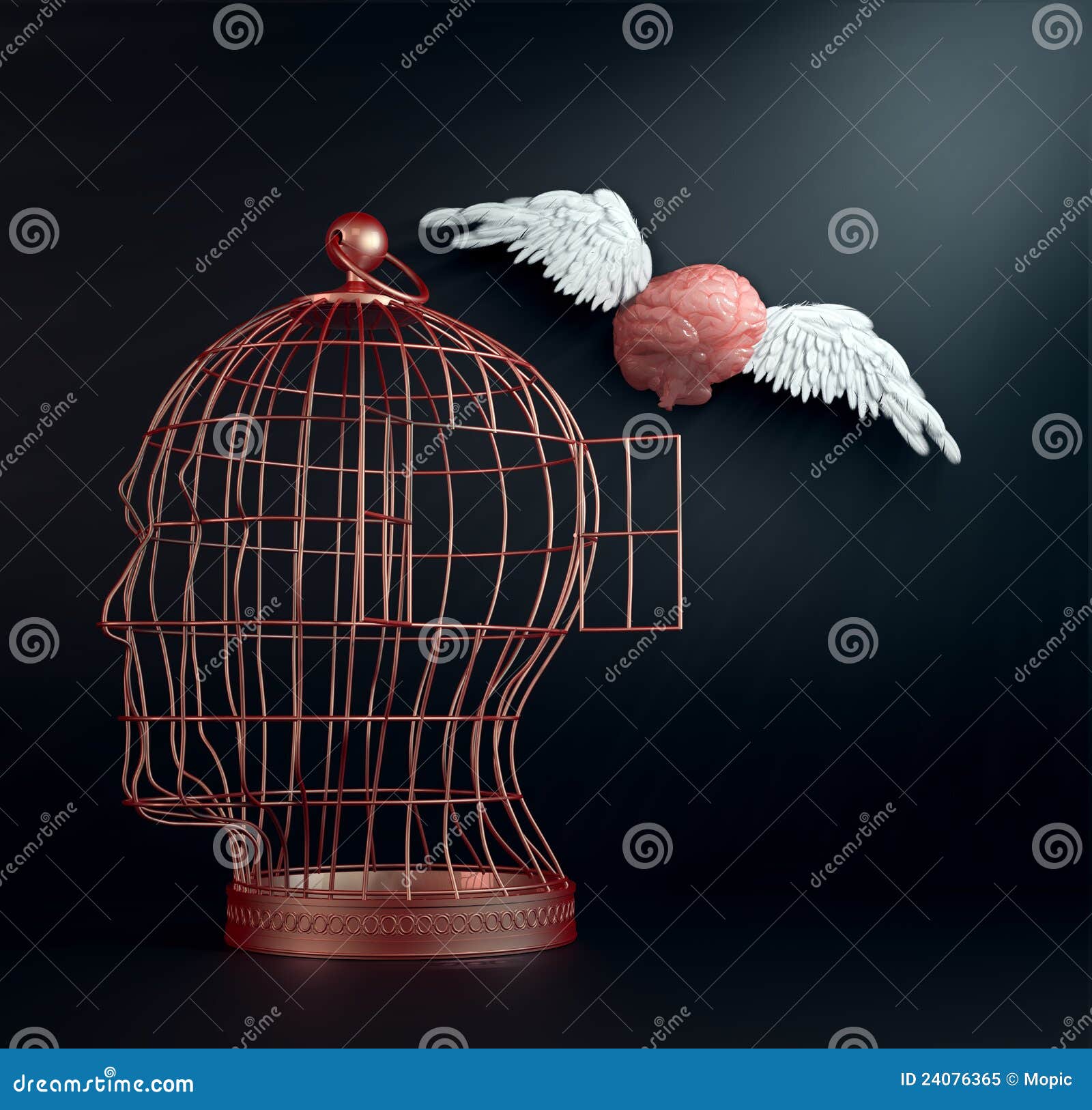 Cerebro con alas imagen de archivo. Imagen de cerebro - 24076365