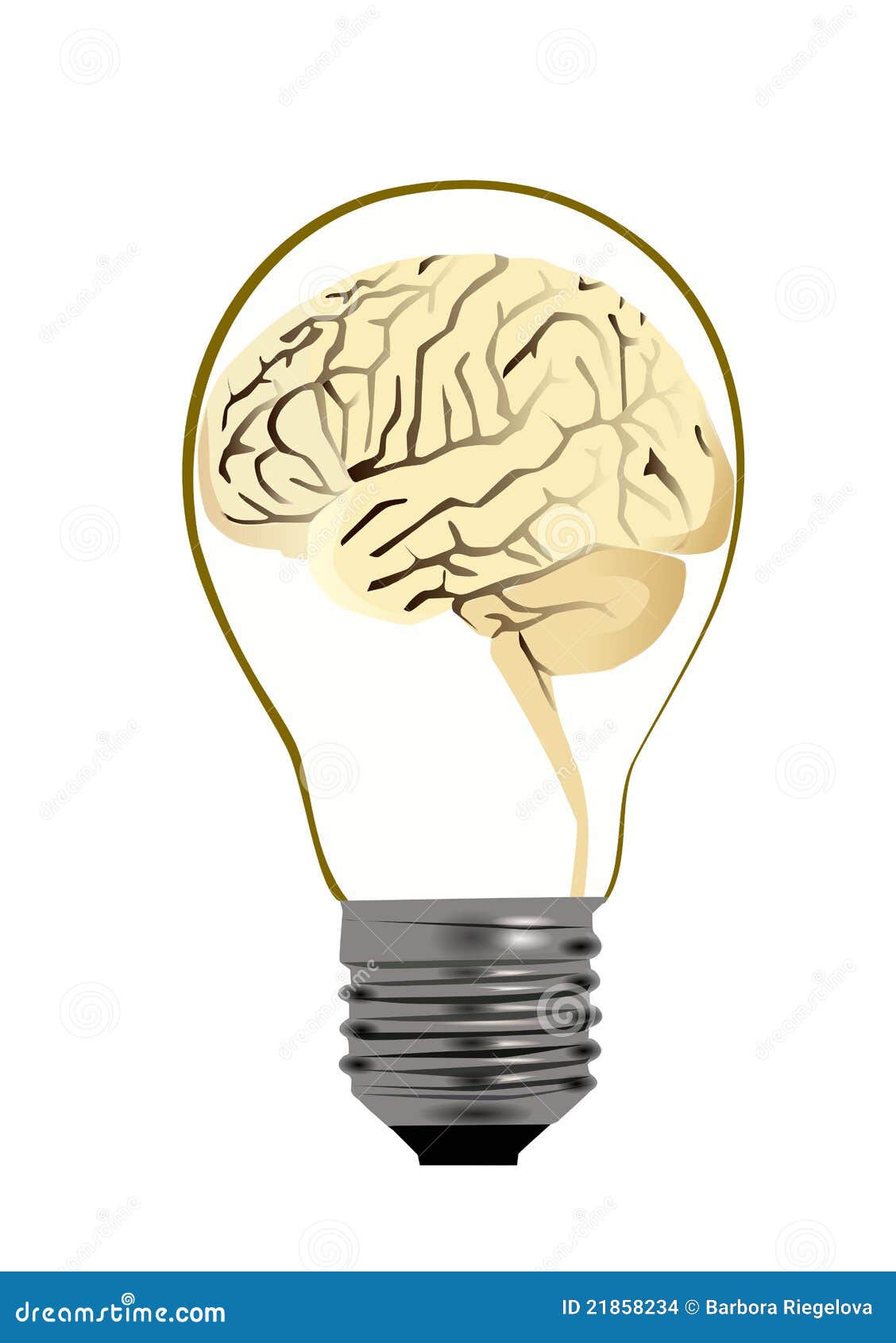 Cerebro del bulbo stock de ilustración. Ilustración de cerebro - 21858234