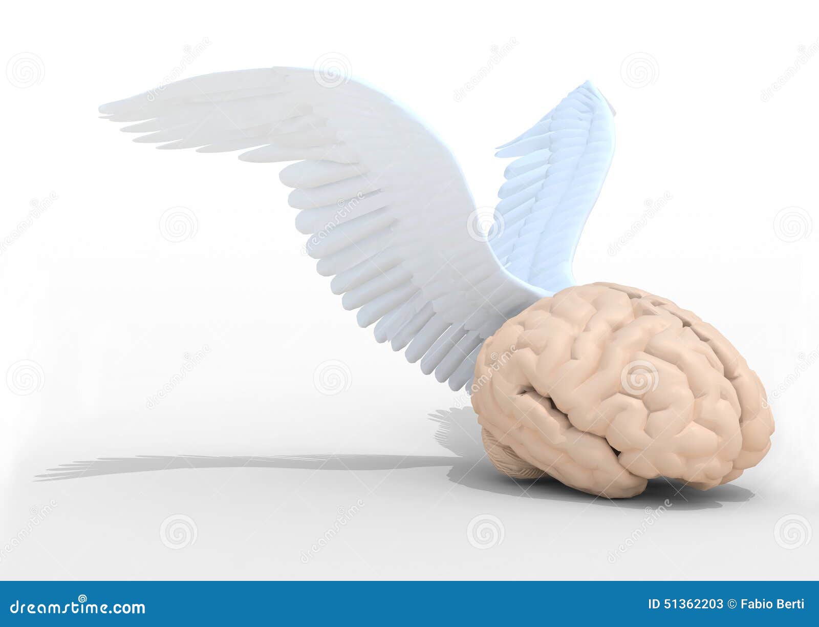 Cerebro Humano Con Las Alas Stock de ilustración - Ilustración de ...