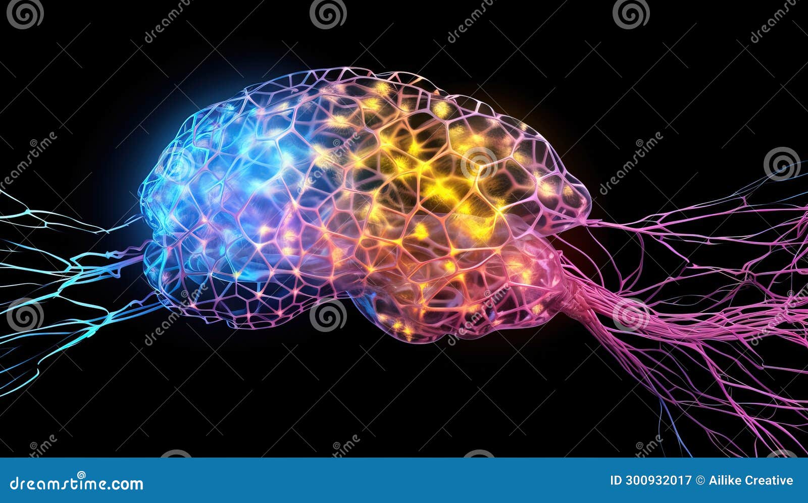 Cerebro Humano Con Neuronas Coloridas Stock de ilustración ...