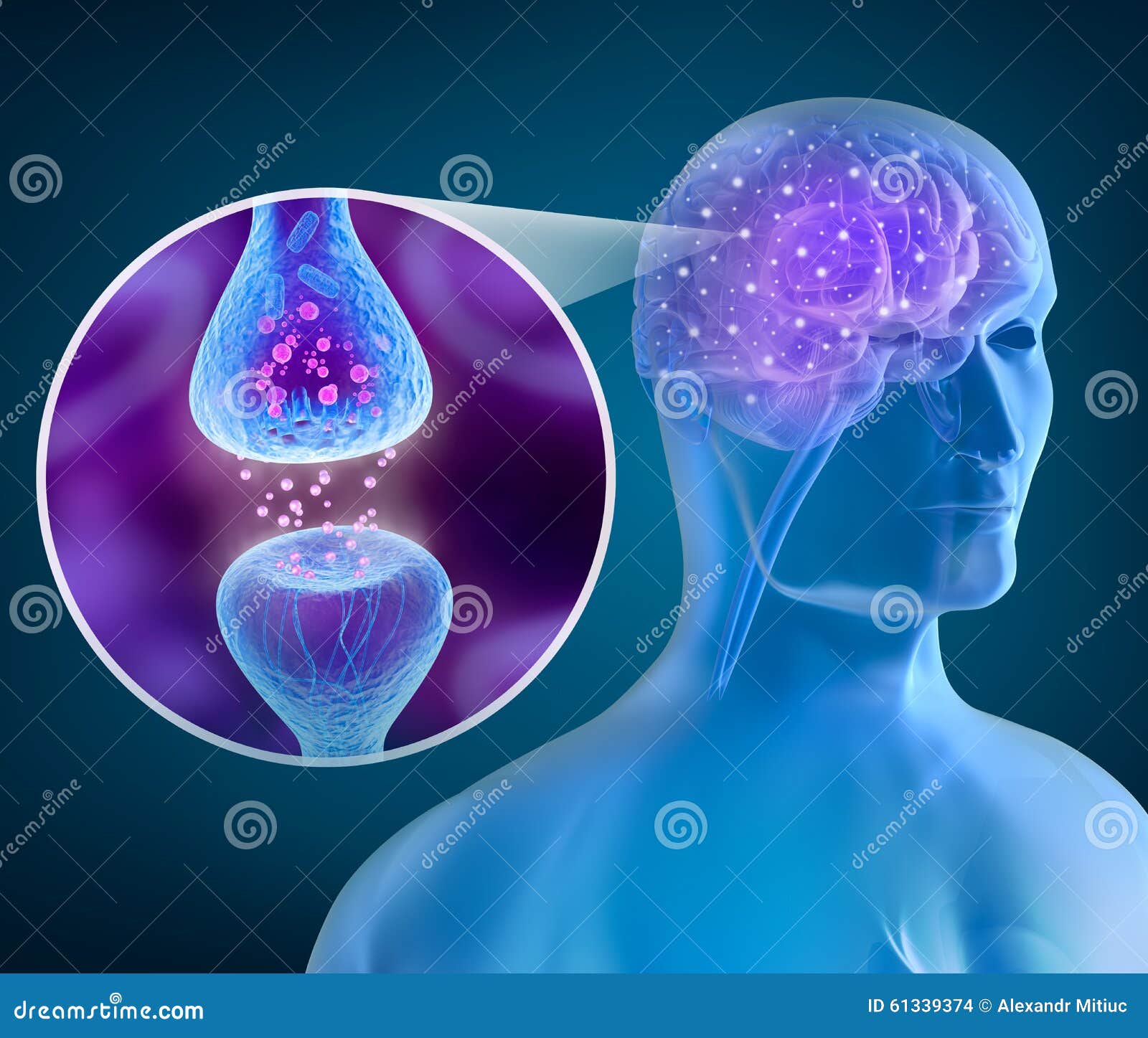 Cerebro Humano Y Receptor Activo Stock de ilustración - Ilustración de ...