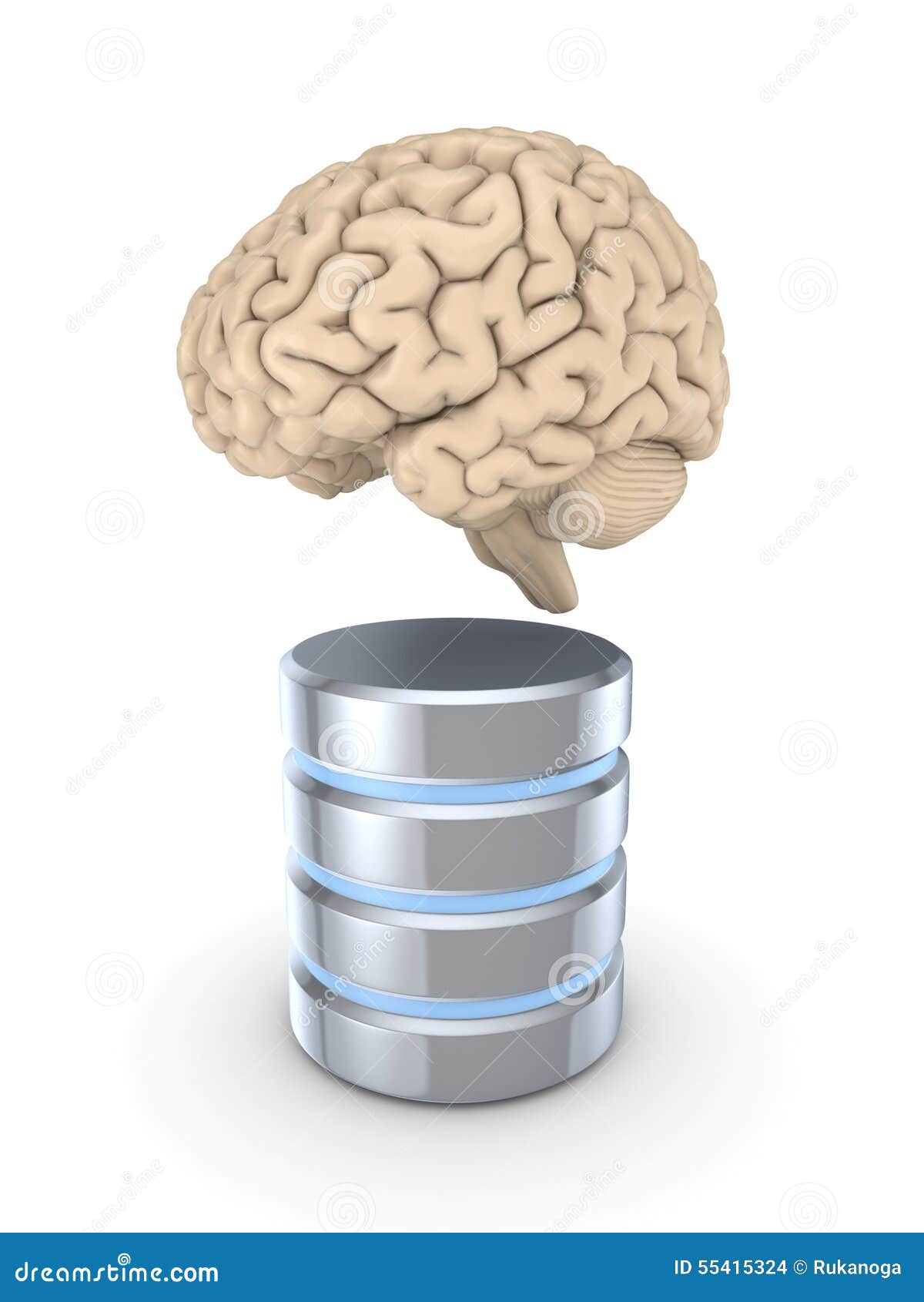 Cerebro Humano Y Símbolo De La Base De Datos Stock de ilustración ...