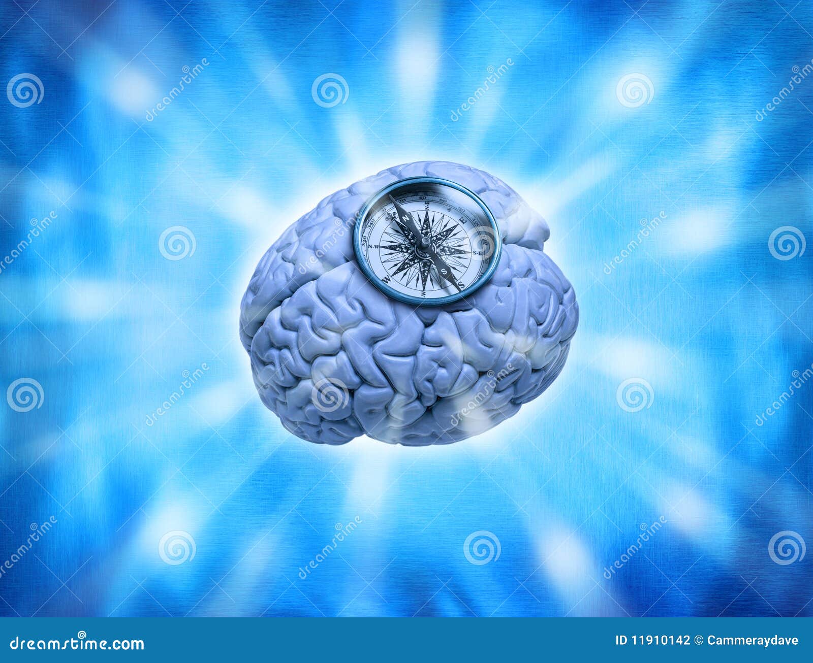 Cerebro moral del compás foto de archivo. Imagen de malo - 11910142