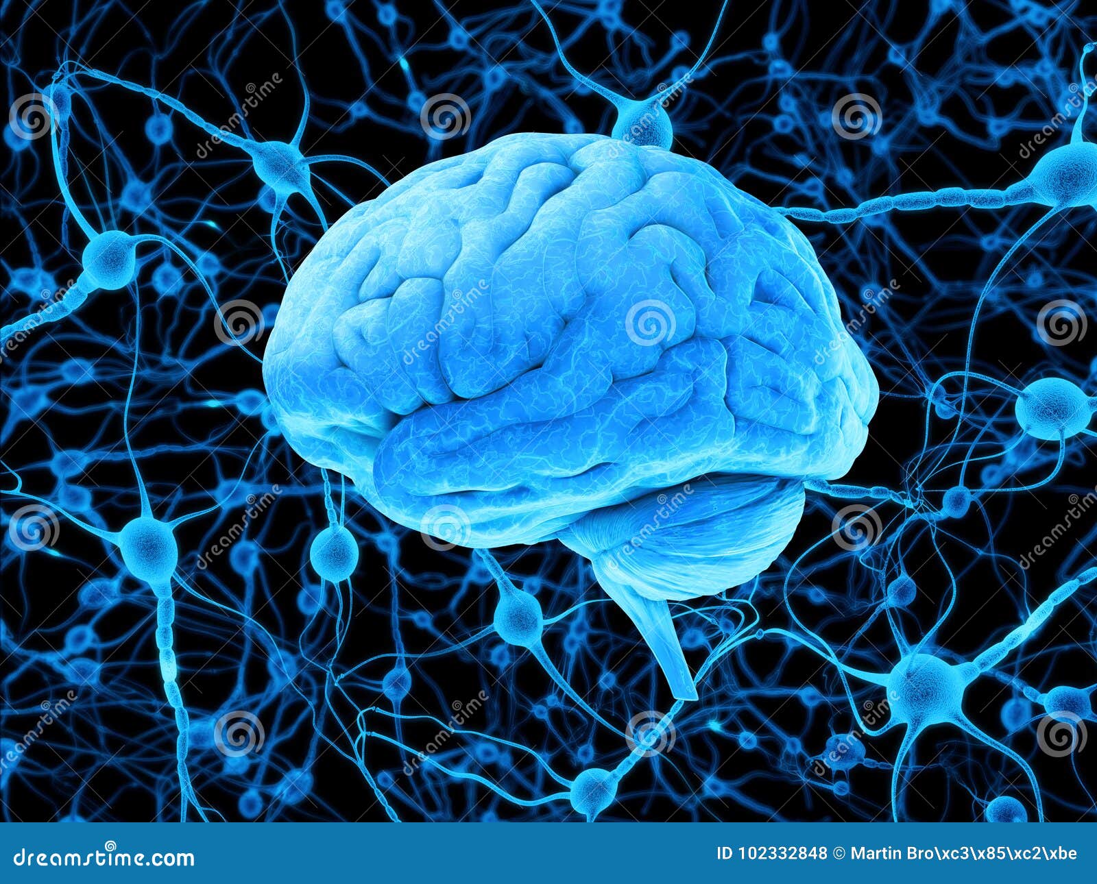 Cerebro y neuronas azules stock de ilustración. Ilustración de datos ...