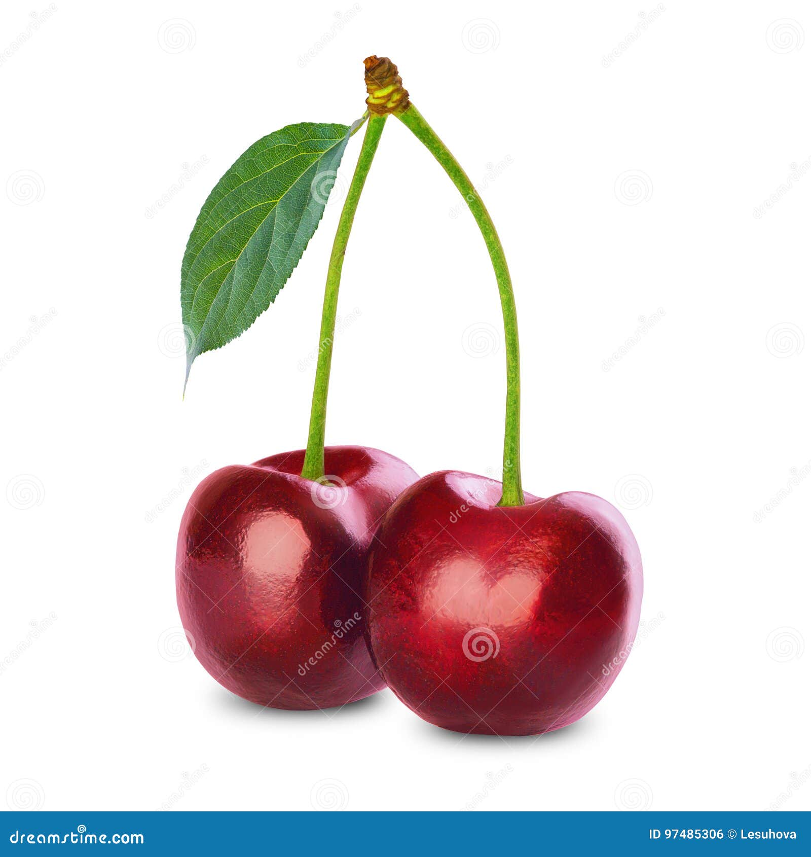 Cereja foto de stock. Imagem de ingrediente, folha, forma - 97485306