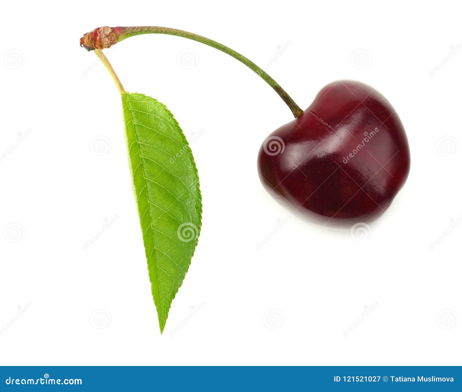 Cereja Com a Folha Verde Isolada No Fundo Branco Imagem de Stock ...