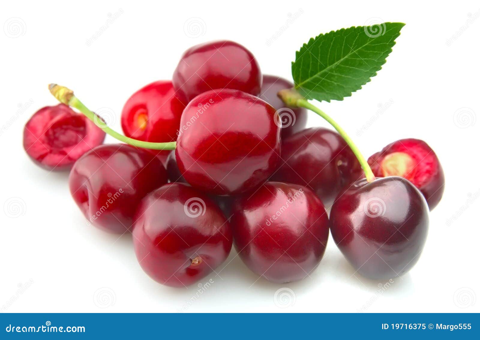 Cereja doce com uma folha imagem de stock. Imagem de branco - 19716375