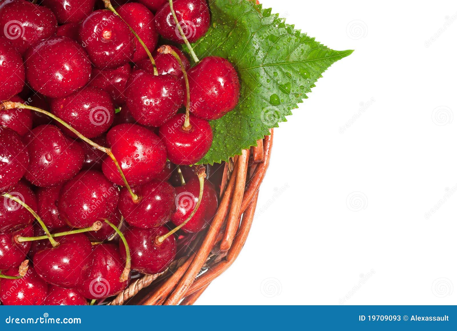 Cereja fresca imagem de stock. Imagem de gota, fresco - 19709093