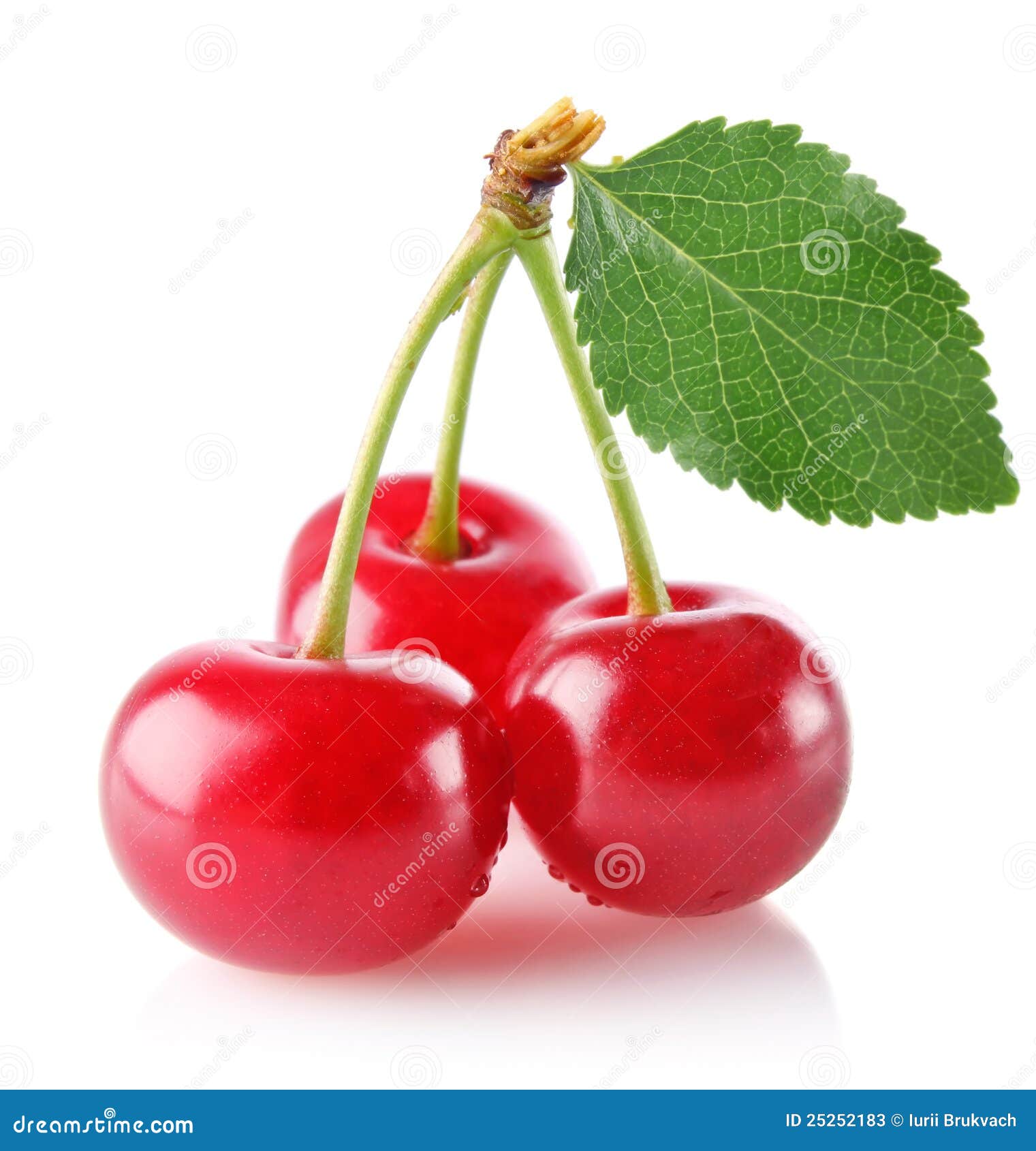 Cereja Três Suculenta Doce Com Folha Verde Imagem de Stock - Imagem de ...