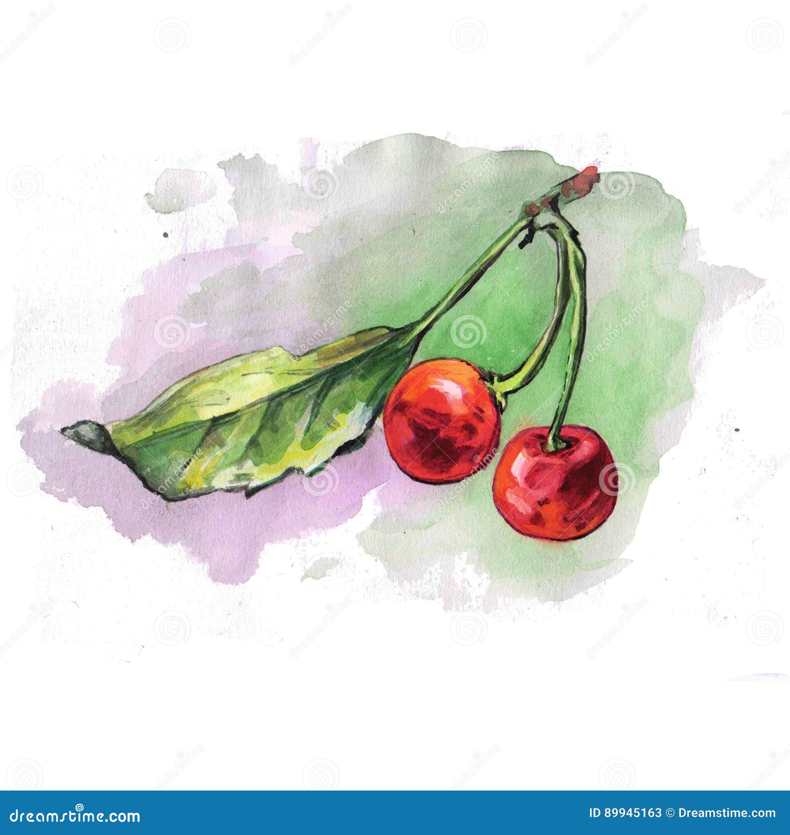 Cerejas Da Aquarela Com Ponto Colorido Ilustração Stock - Ilustração de ...