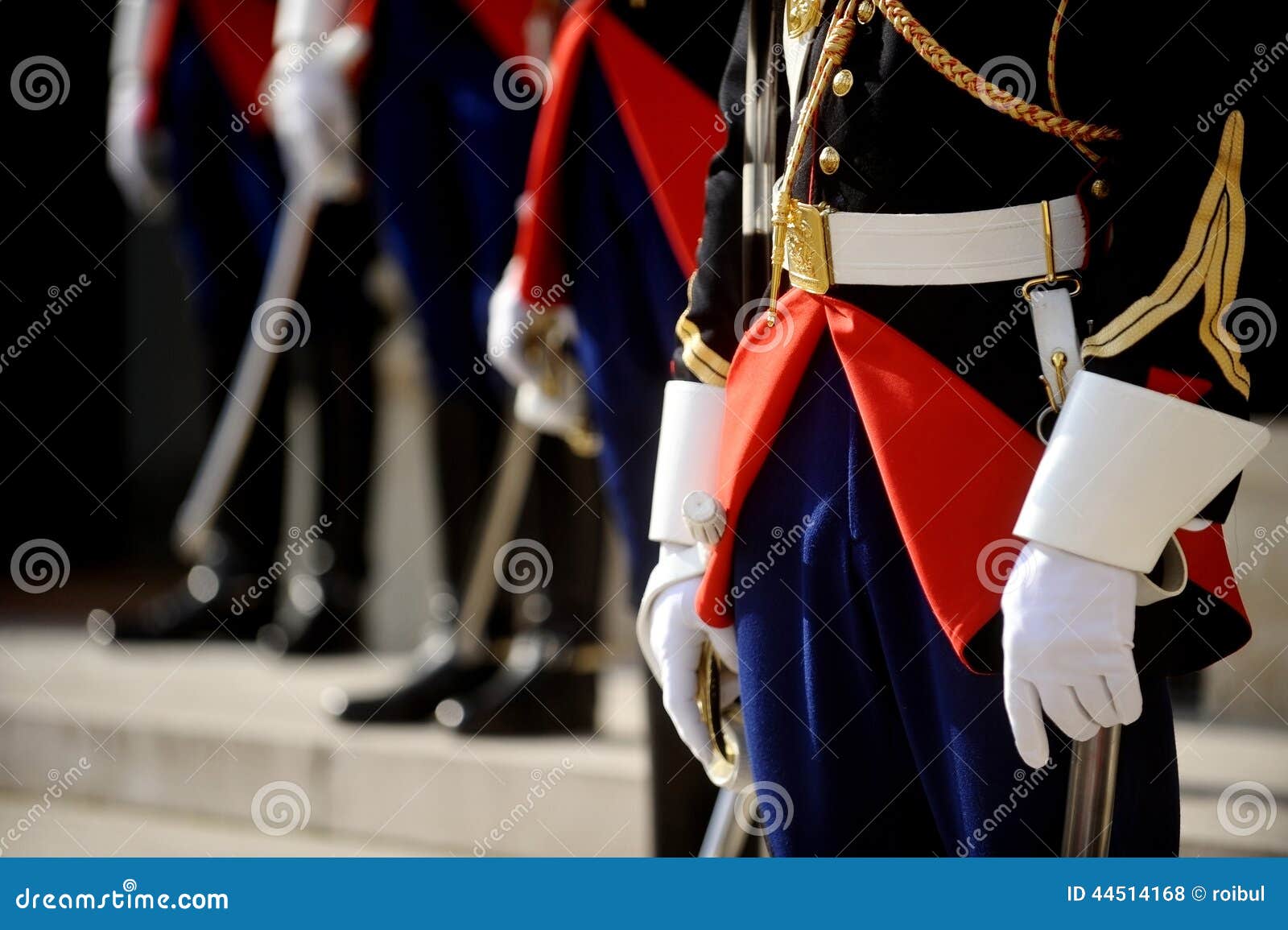 Ceremonial guards of honor stock photo. Image of authority - 44514168