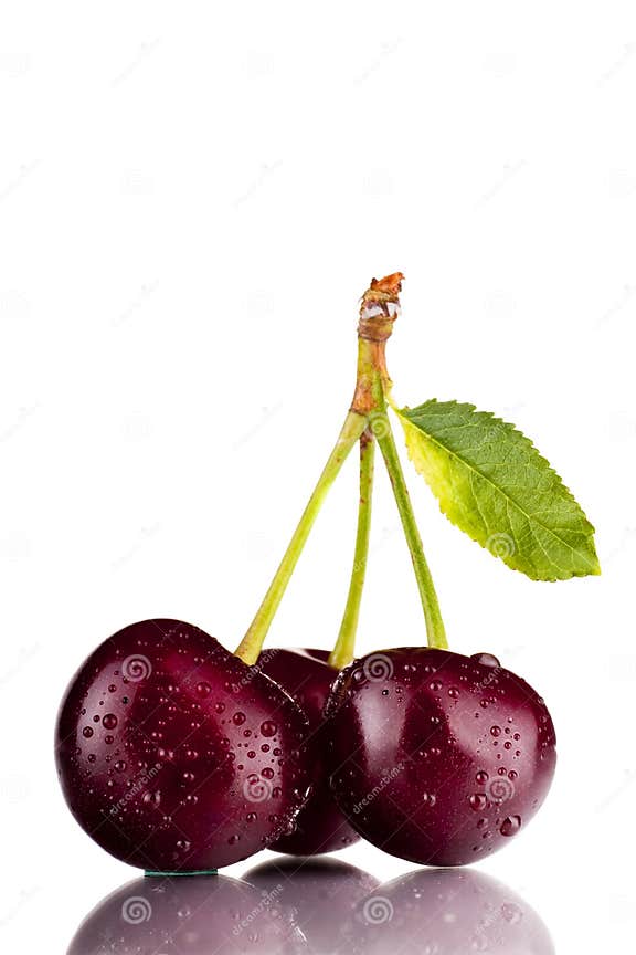 Cerezas imagen de archivo. Imagen de madure, cerezas - 13300689