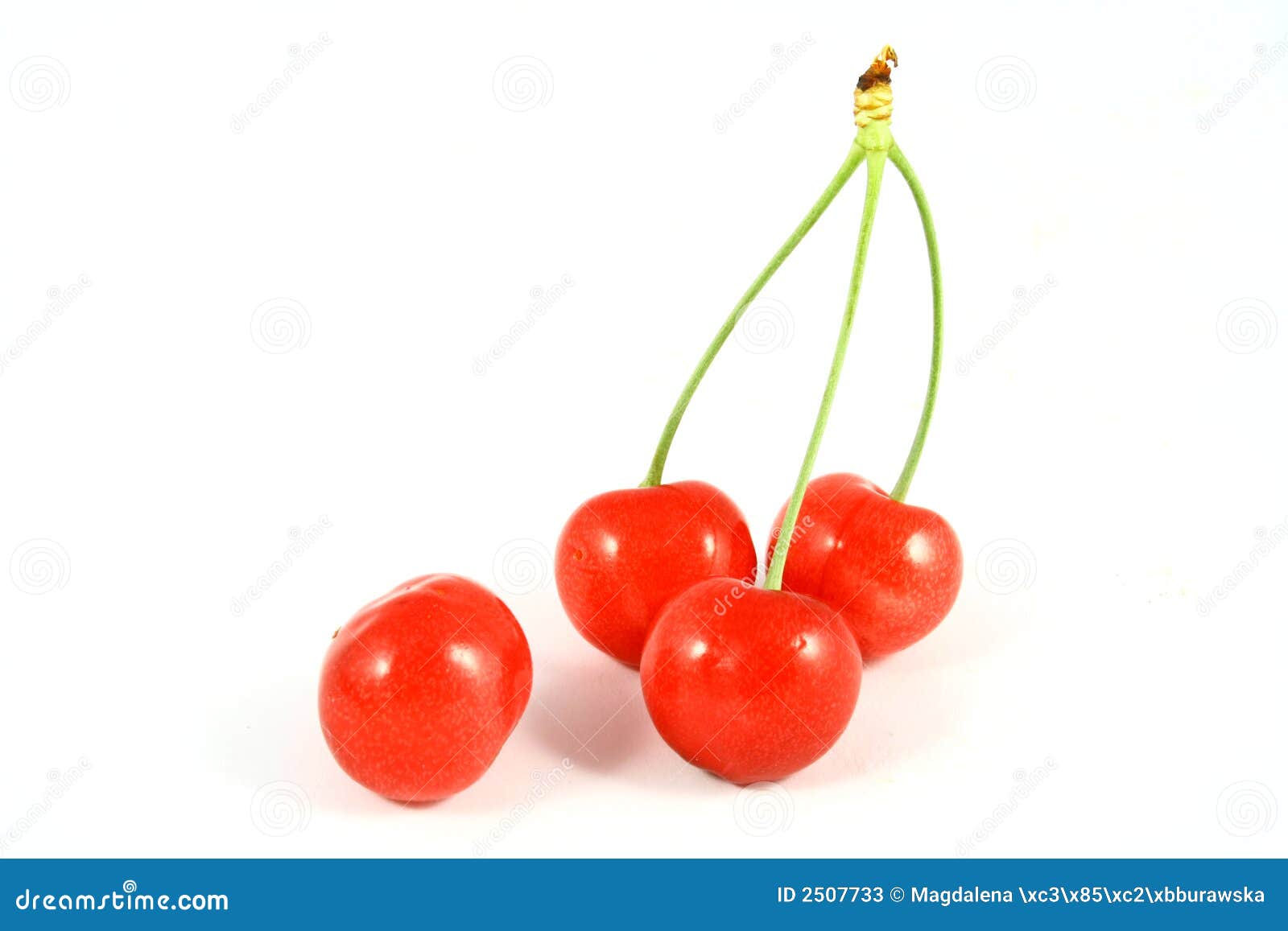 Cerise Image. Image: 2507733