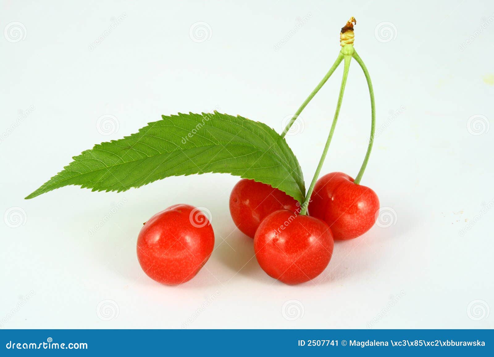 Cerise Image. Image: 2507741