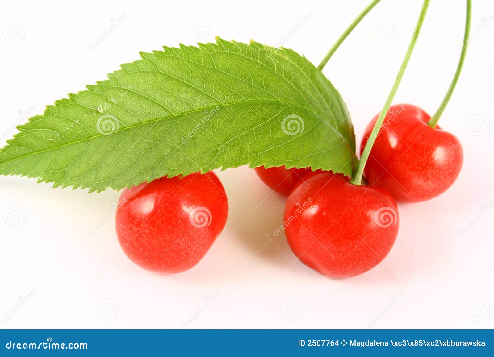 Cerise Image. Image: 2507764