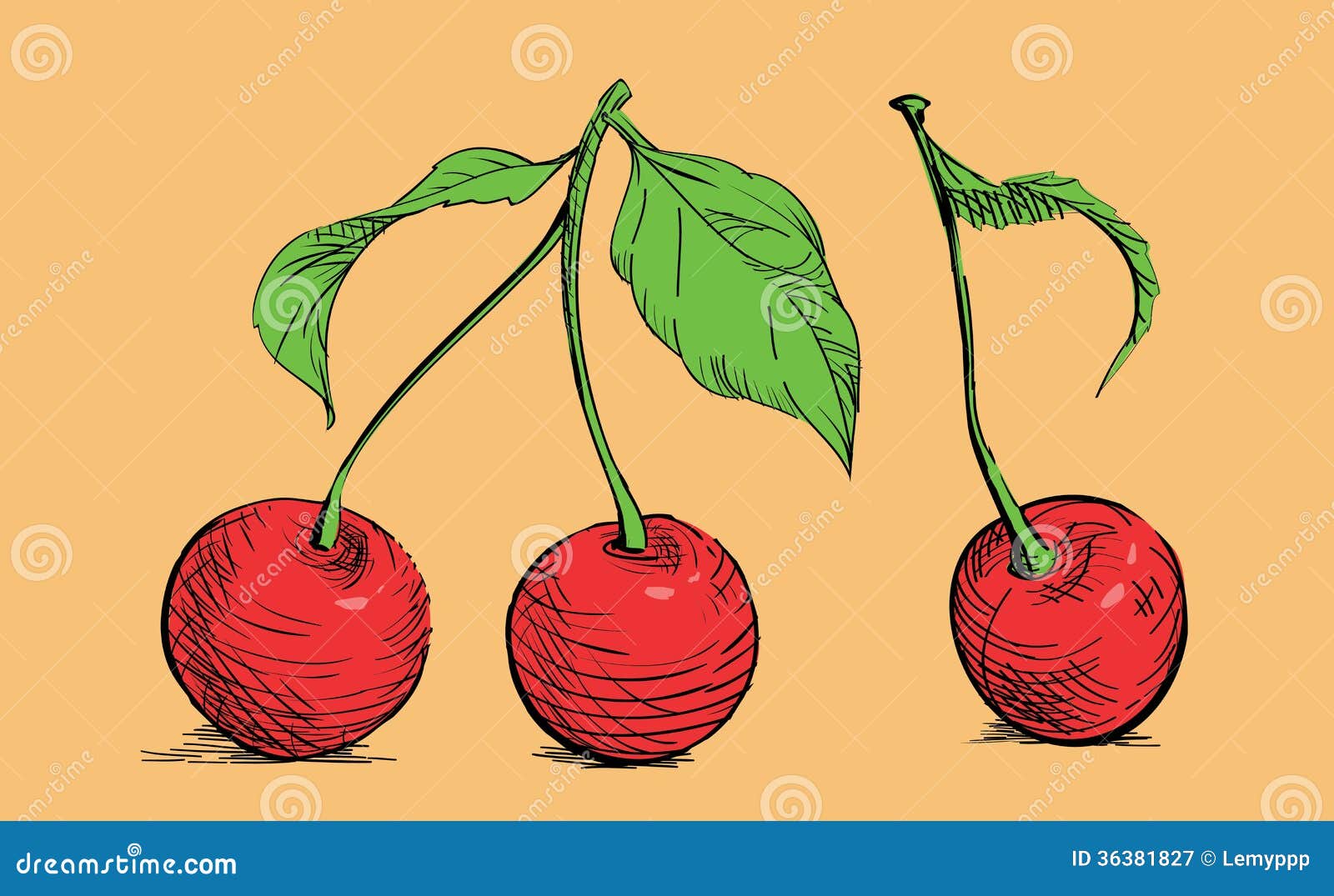 Cerise de dessin illustration de vecteur. Illustration du organique ...