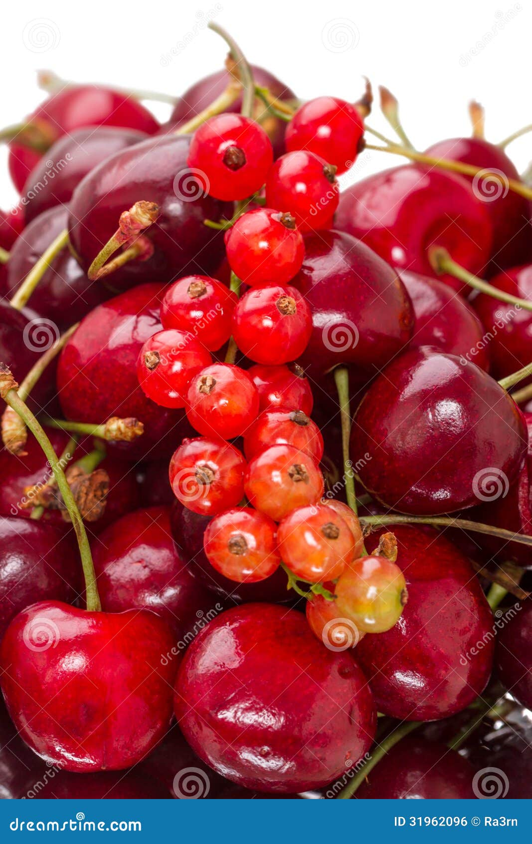 Cerise et groseille rouge photo stock. Image du rouge - 31962096