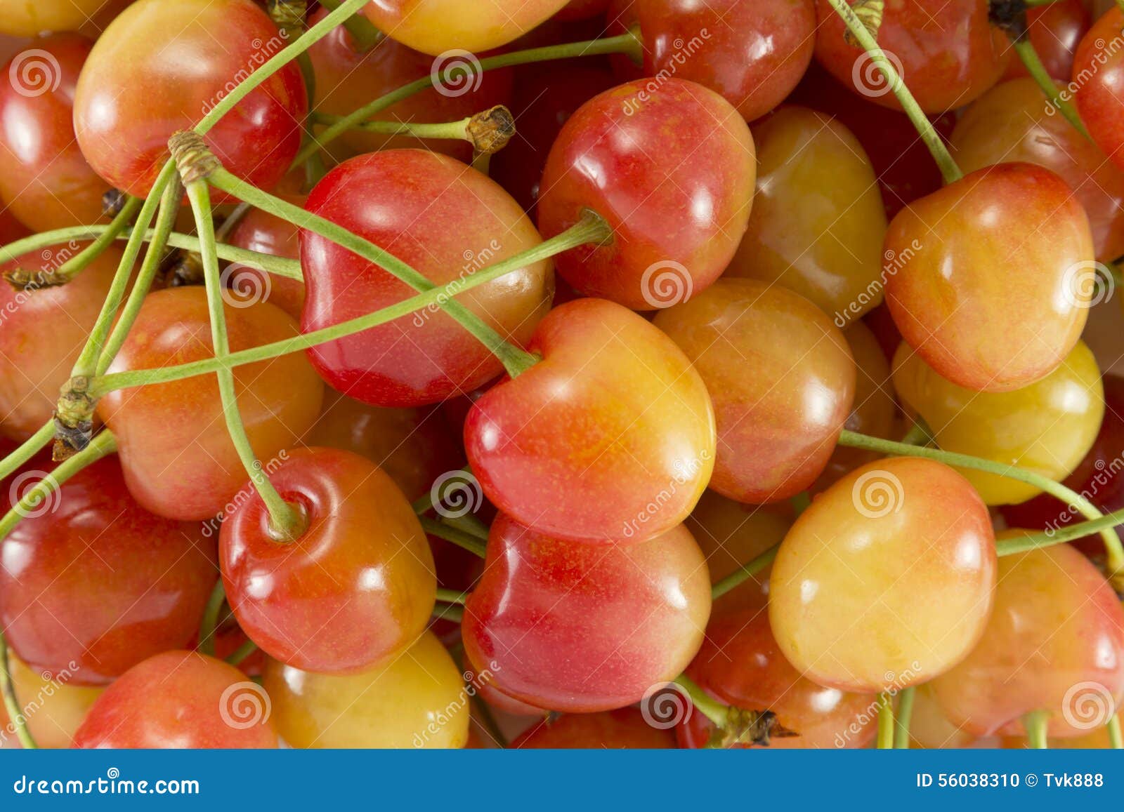 Cerise (merise - Rouge-jaune) Photo stock - Image du fluor, cobalt ...