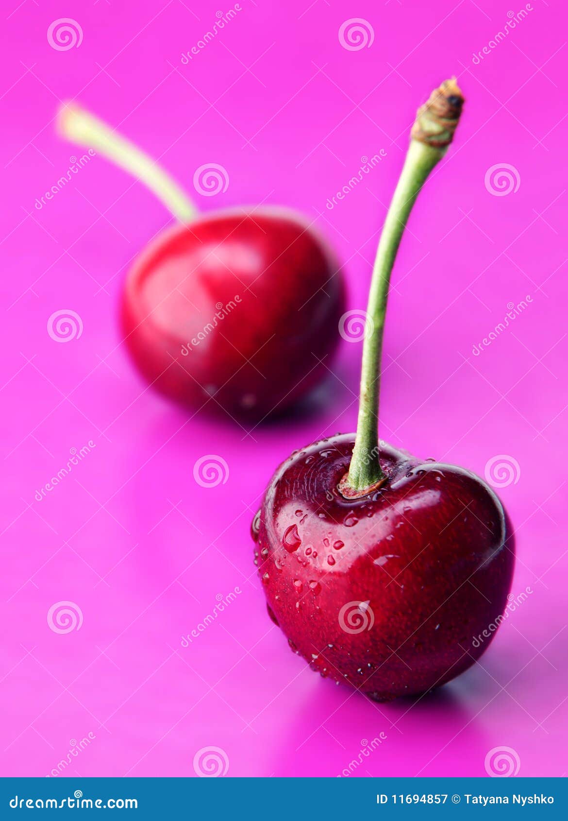 Cerise rouge image stock. Image du brillant, cerise, baie - 11694857