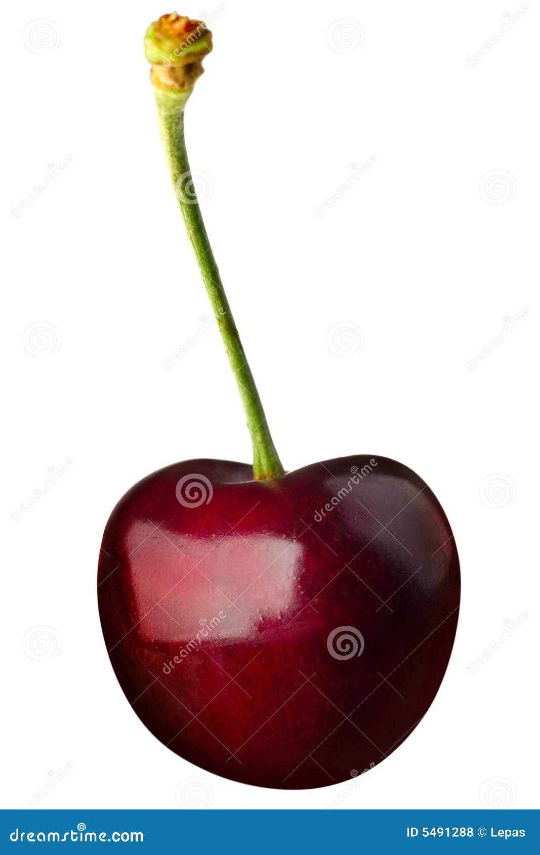 Cerise rouge photo stock. Image du brillant, blanc, cheminée - 5491288