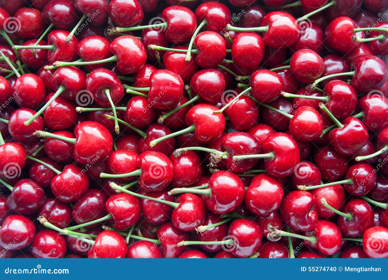 Cerise rouge photo stock. Image du gourmet, sain, fruit - 55274740