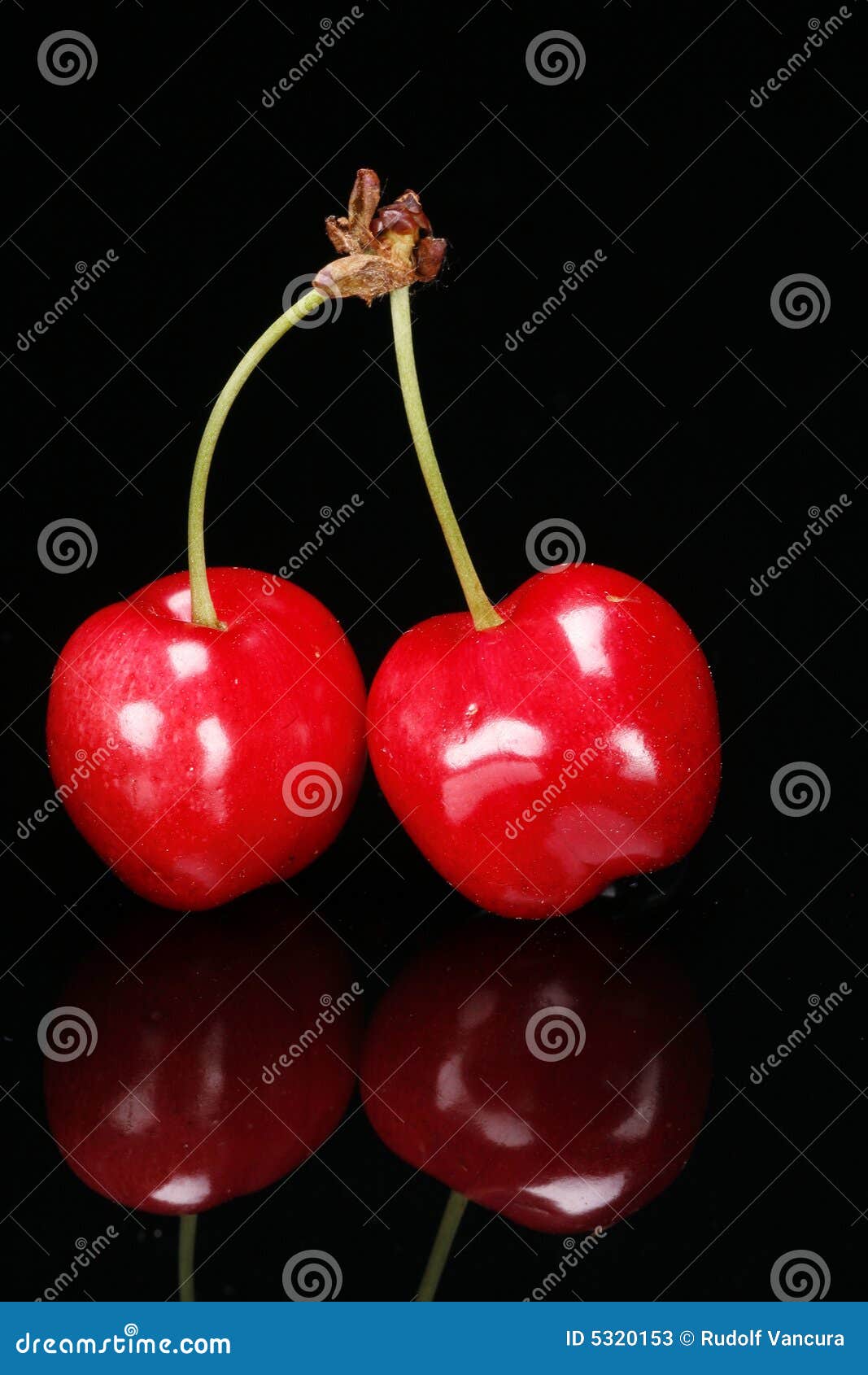 Cerises rouges sur le noir image stock. Image du cerise - 5320153