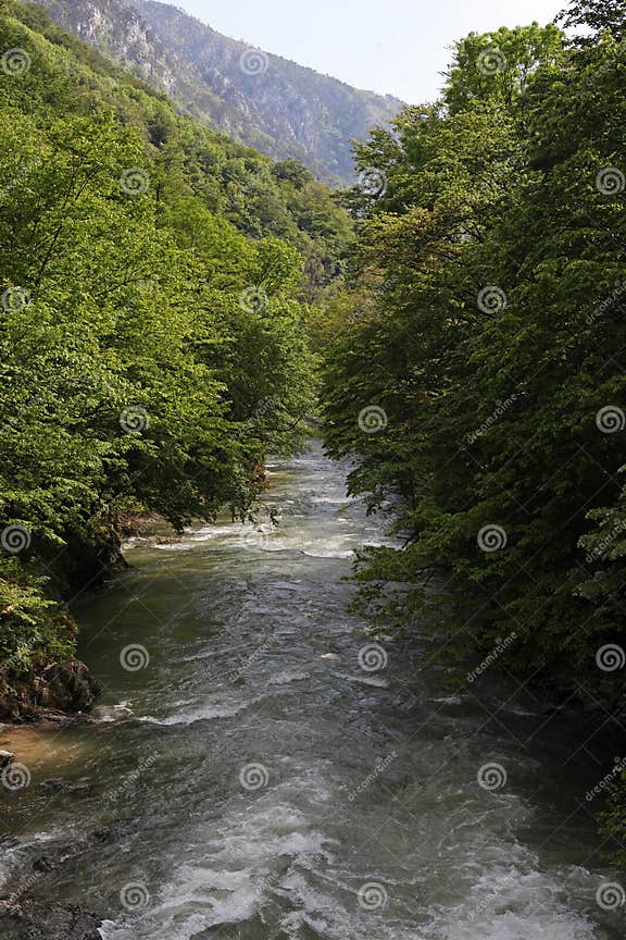 Cerna Mountain River in Springtime, Herculane, Romania Stock Image ...