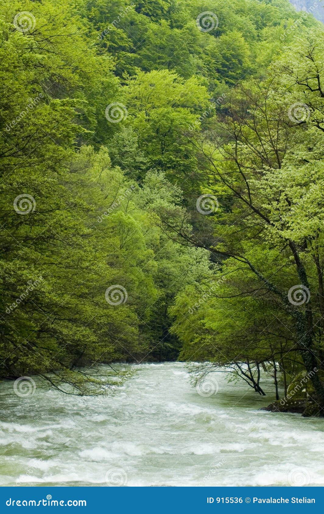 Cerna River in Romania stock photo. Image of tranquil, resort - 915536