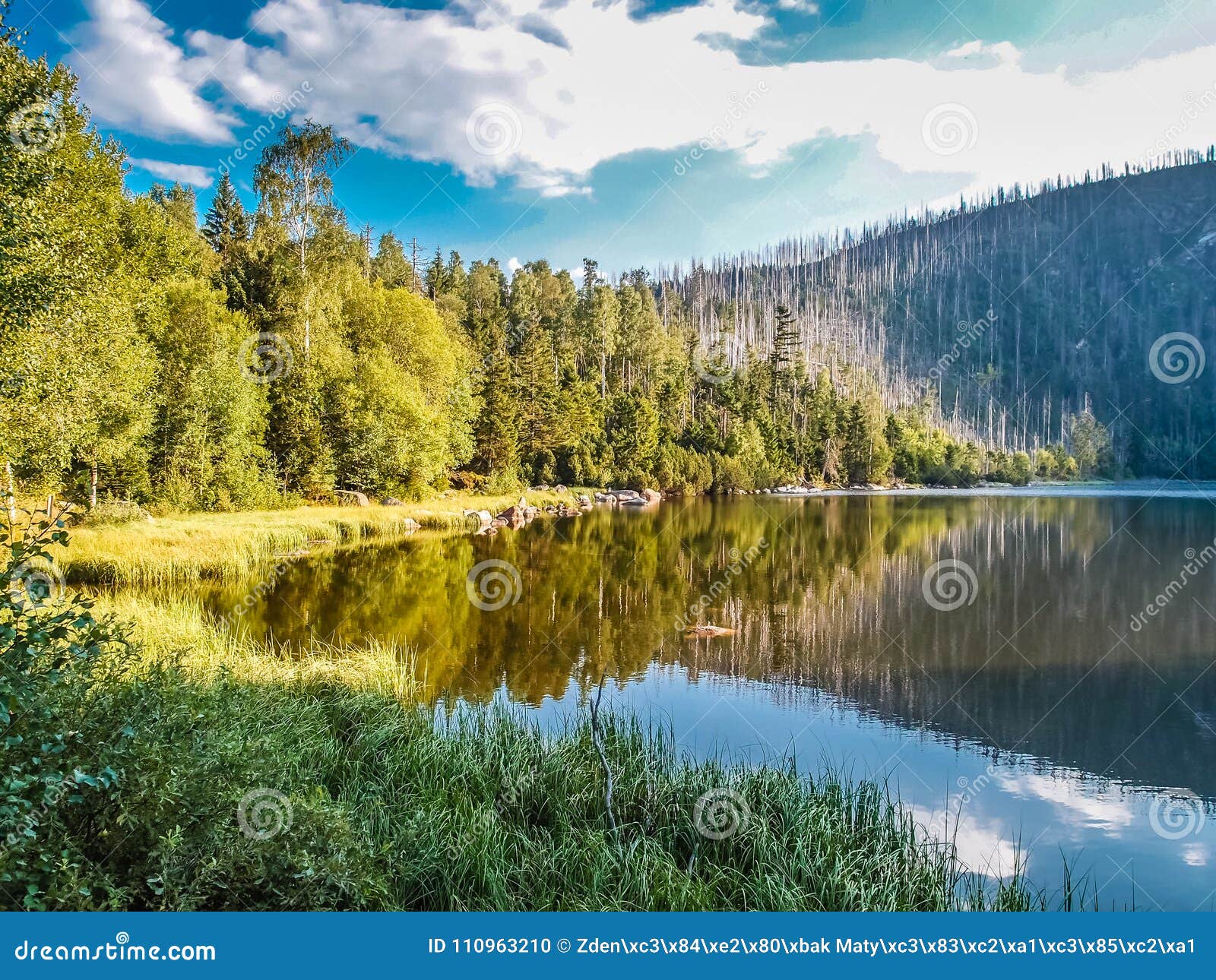 Cerne Jezero - Sumava National Park, Czech Republic Stock Photo - Image ... Cerne Jezero - Sumava National Park, Czech Republic Stock Photo - Image ...