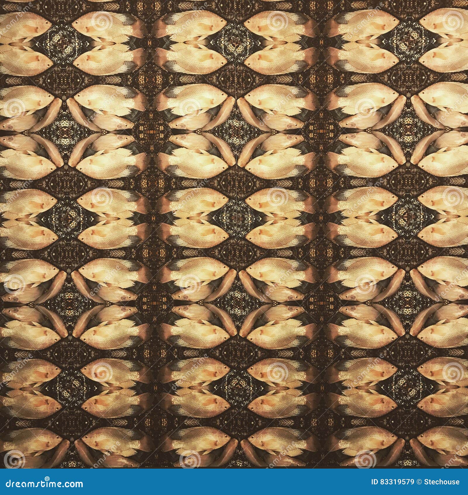 A Funky Collection of Fish Form a Mesmerizing Pattern Stock Image ...