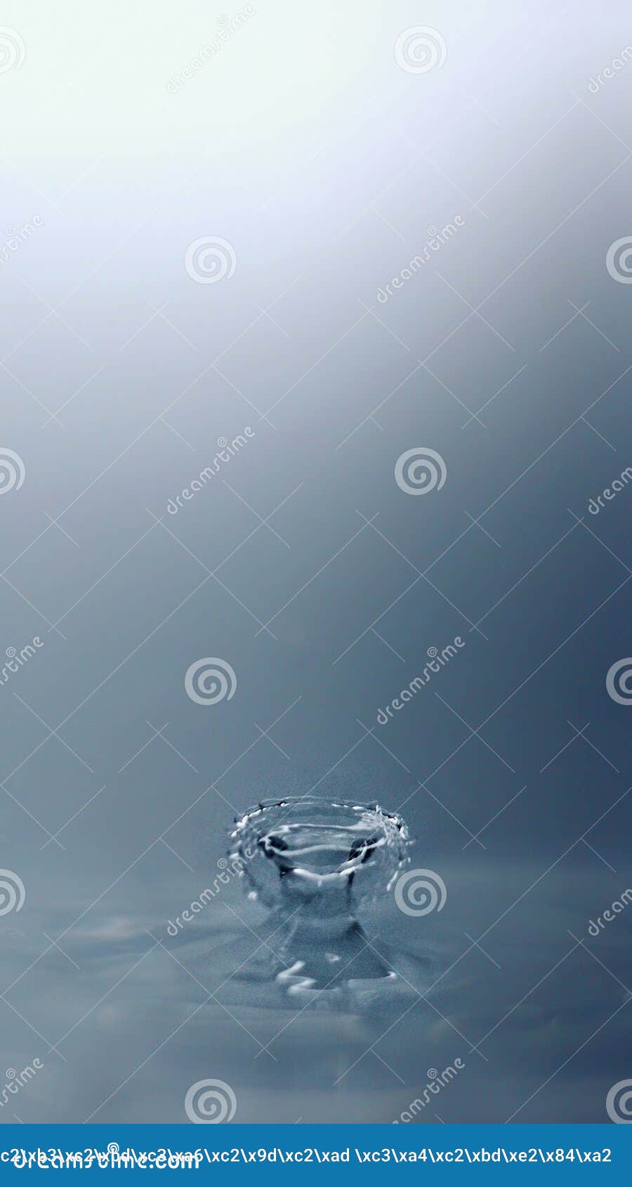 A Drop of Water at a Certain Height Stock Image - Image of drops ...