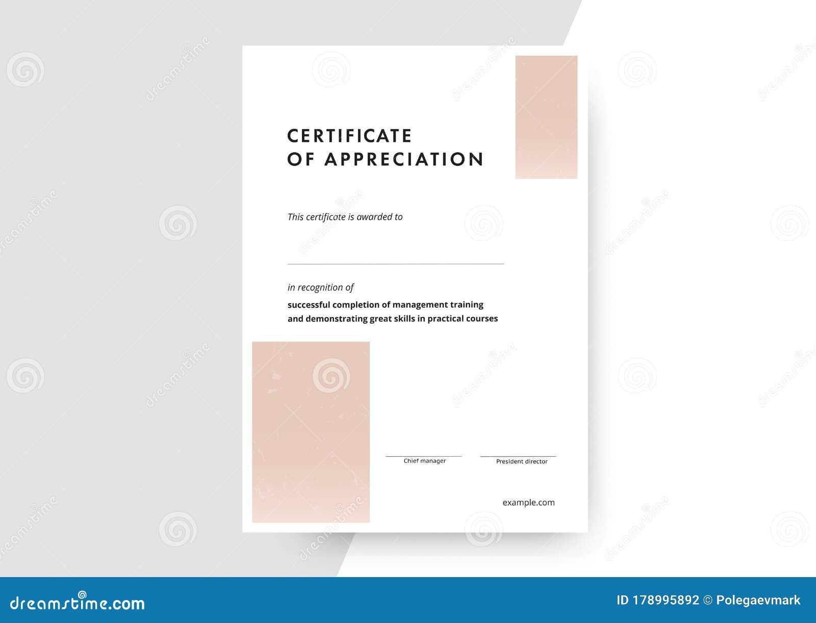 Certificate of Appreciation Template Design. Elegant Business Diploma ...