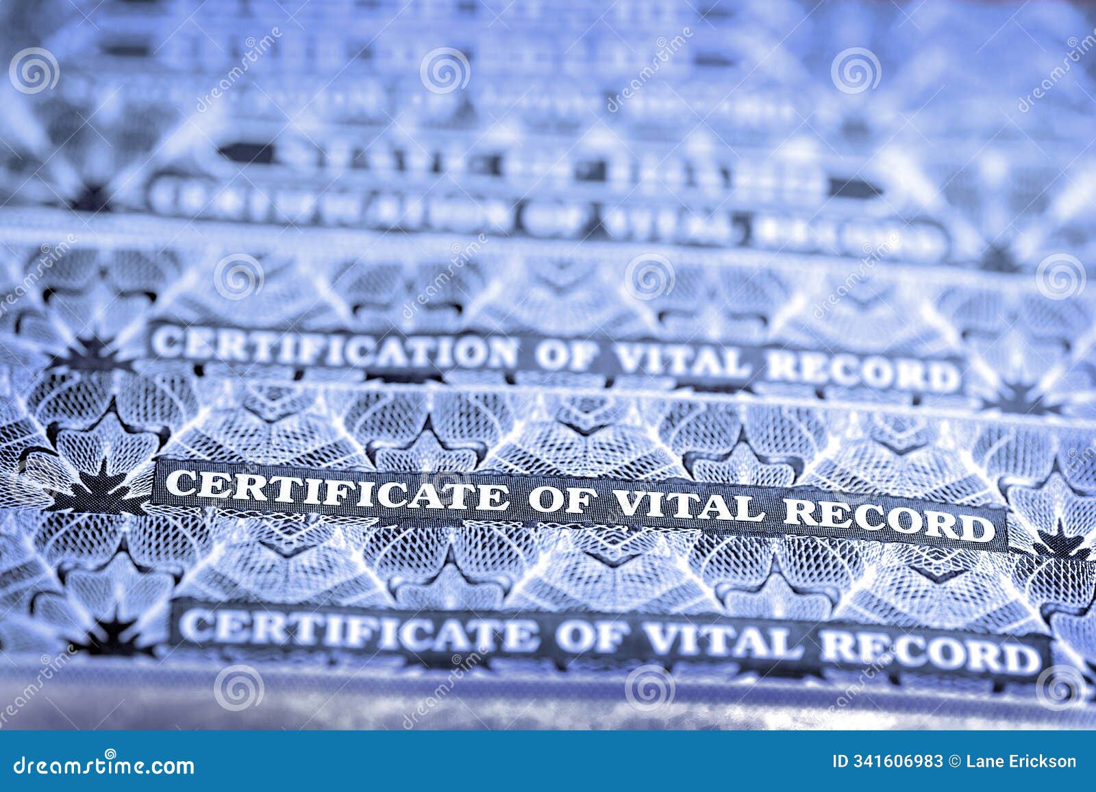 Certificate of Vital Records for Birth Official Documents Stock Image ...