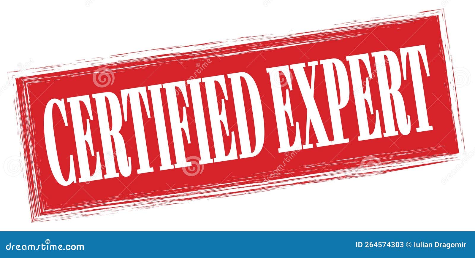 CERTIFIED EXPERT Text Written on Red Stamp Sign Stock Illustration ...