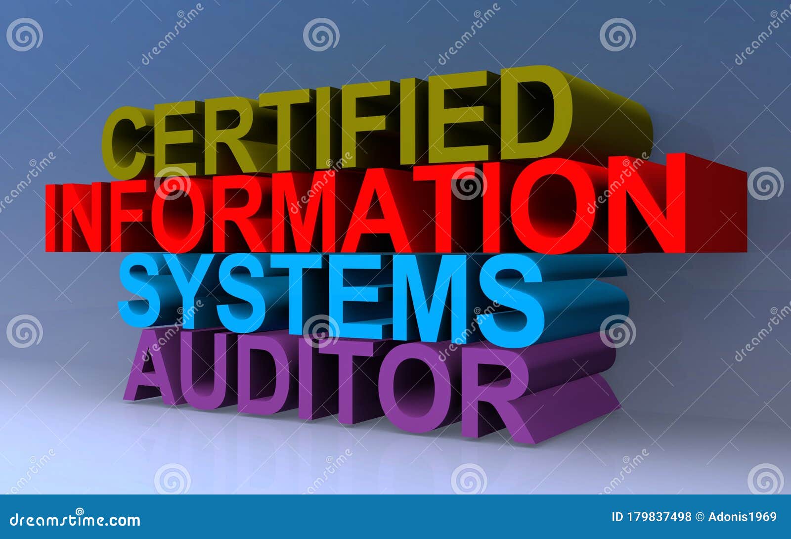 Certified Auditor In Internal Financial Certification And Information ...