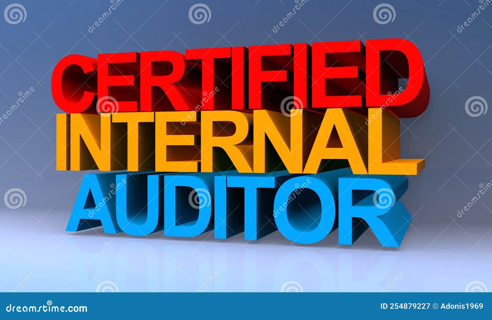 Certified Auditor In Internal Financial Certification And Information ...