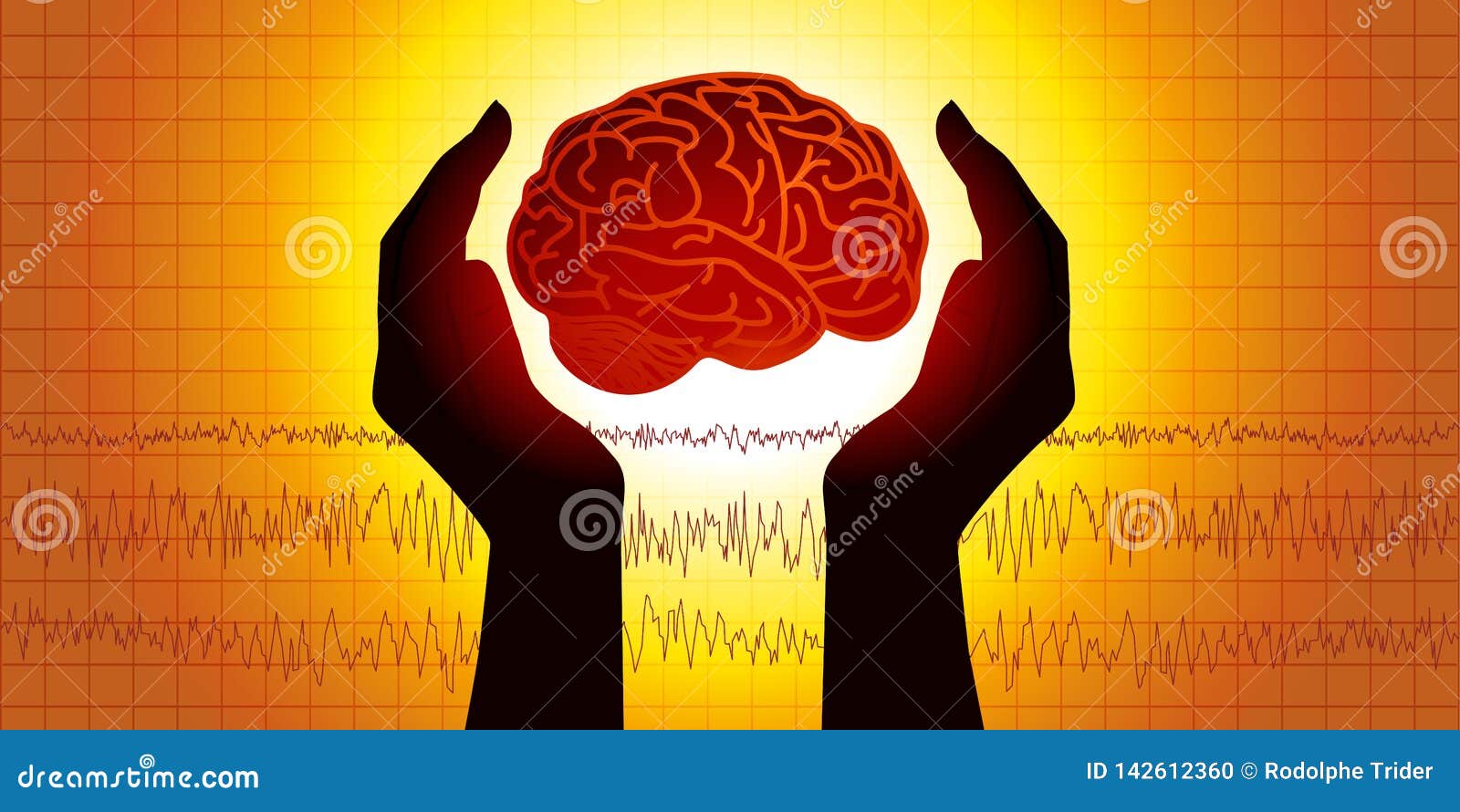 Medical Diagram Showing Two Hands That Protects A Brain In Front Of A ...