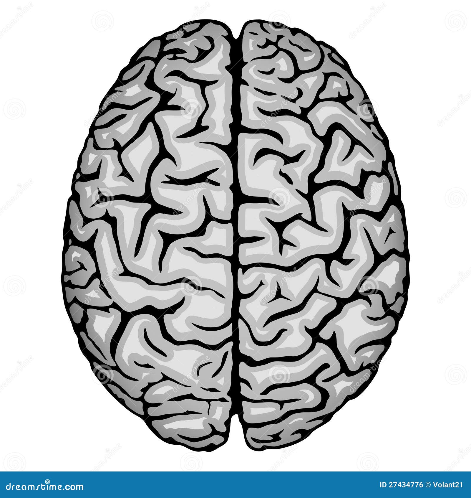 Cerveau Humain. Image libre de droits - Image: 27434776